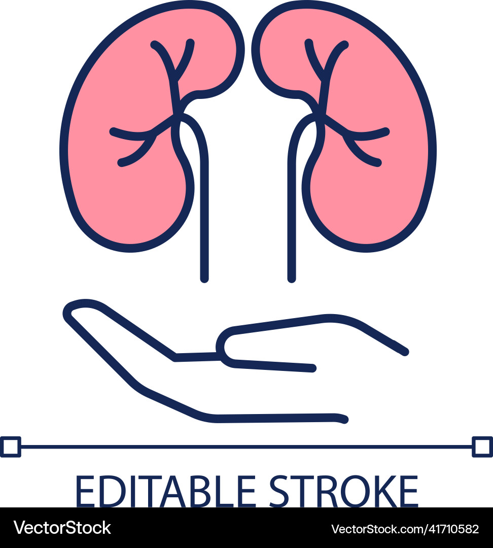Kidney care rgb color icon Royalty Free Vector Image