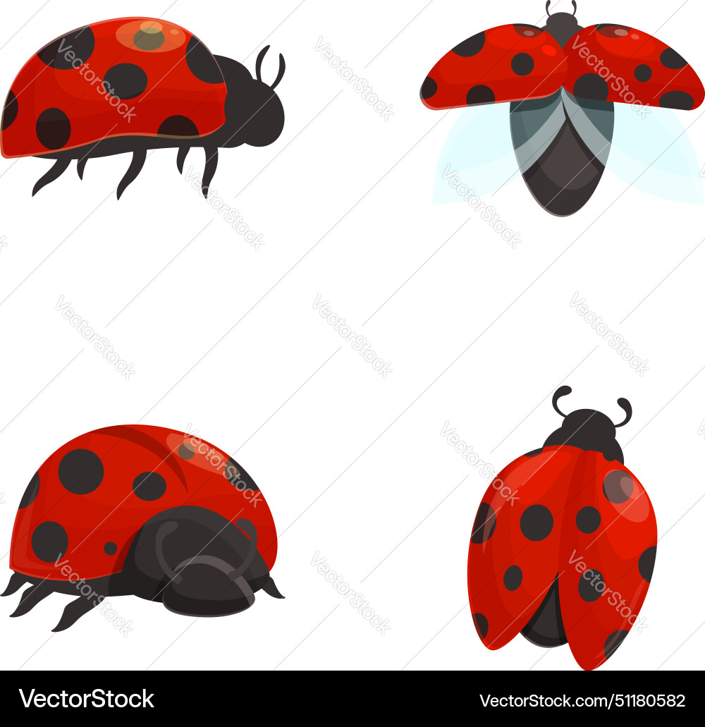 Ladybird icons set cartoon various Royalty Free Vector Image