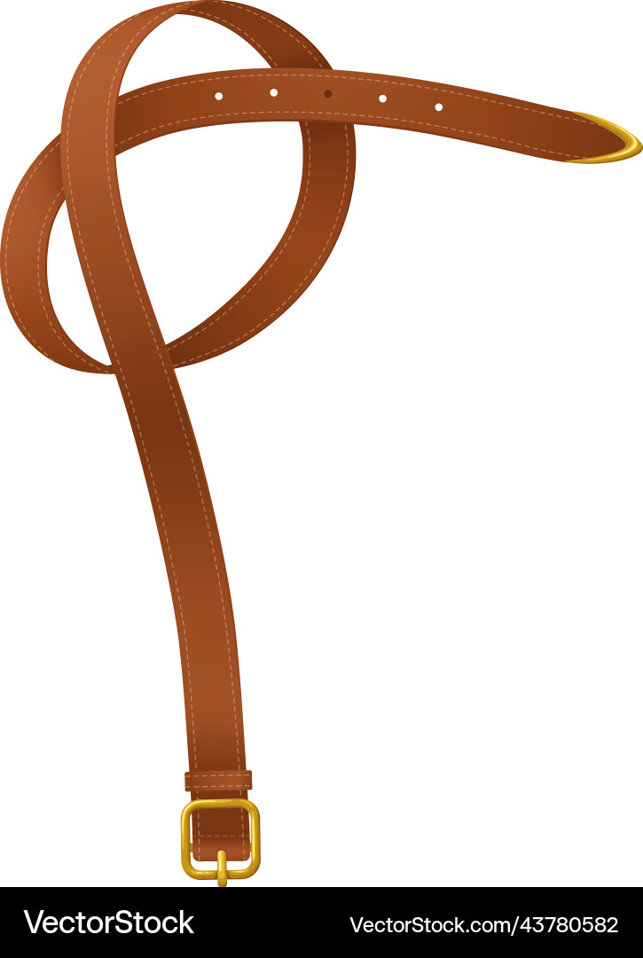 Realistic belt Royalty Free Vector Image - VectorStock