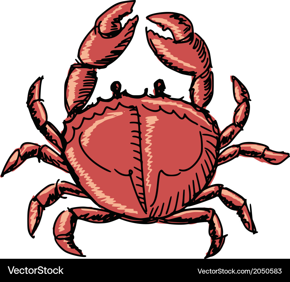Crab Royalty Free Vector Image - VectorStock