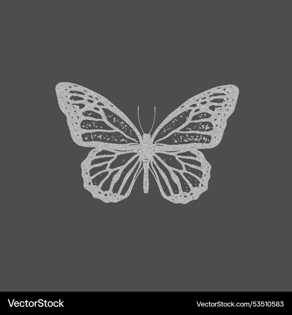 Gray butterfly isolated on a dark background Vector Image