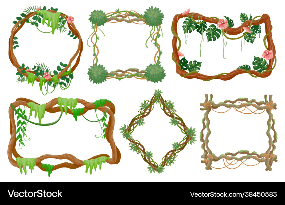 Jungle Frames Vector Images (over 18,000)