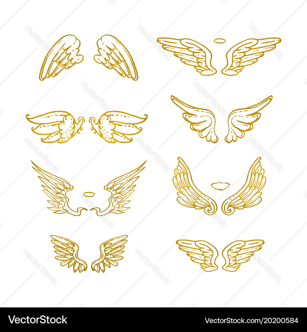 Hand drawn wings set of design elements Royalty Free Vector