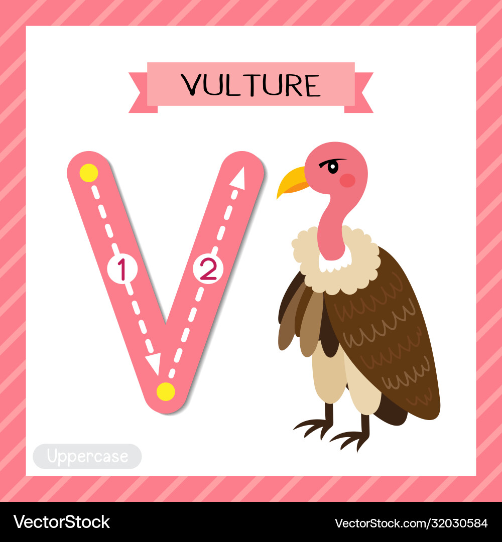 Letter v uppercase tracing vulture bird Royalty Free Vector