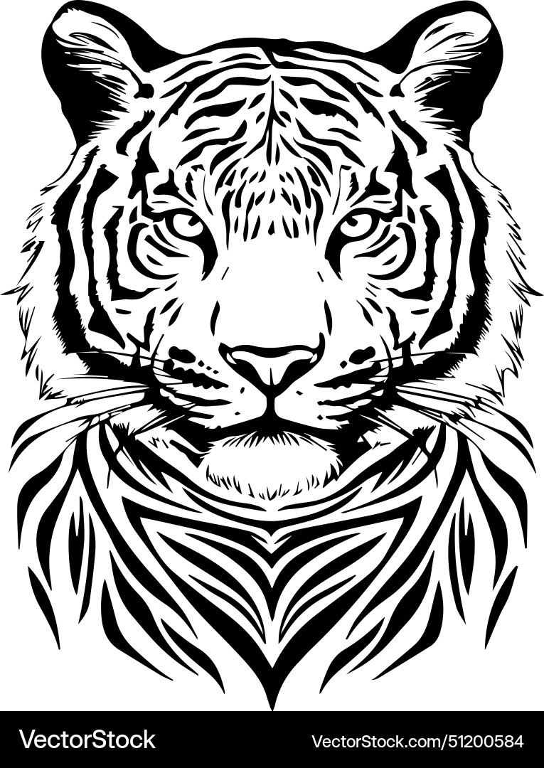 Tiger face Royalty Free Vector Image - VectorStock