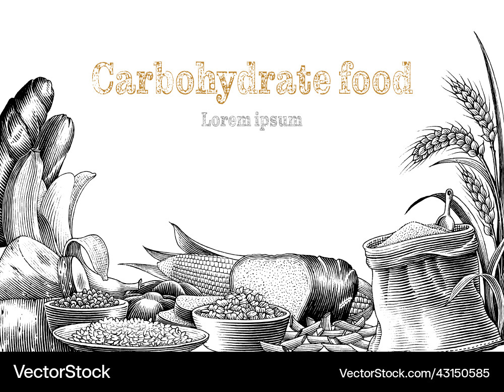 Carbohydrate food hand drawing engraving style Vector Image
