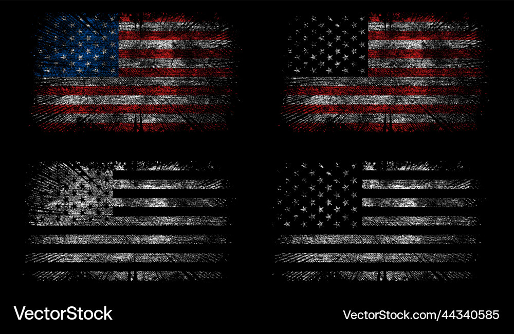 Grunge USA Flag Collection Royalty Free Vector Image