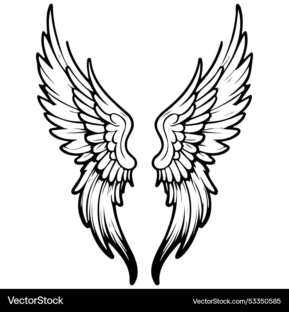 Line angel wings drawing realistic outline Vector Image