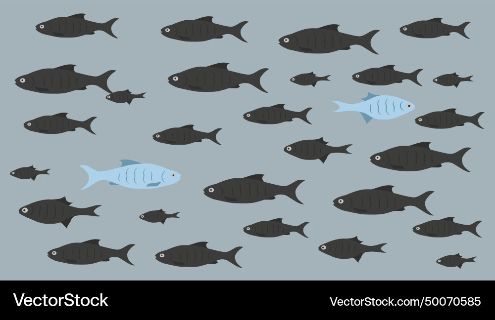 One unique fish swims opposite from identical Vector Image