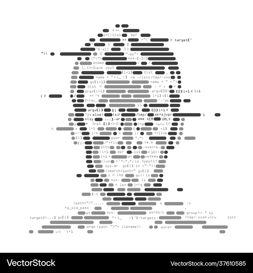 Programmer Royalty Free Vector Image - VectorStock