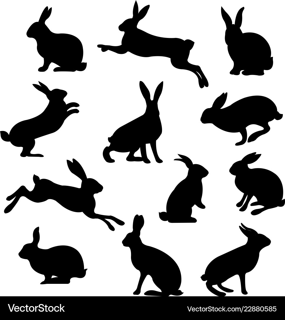 Rabbit set isolated Royalty Free Vector Image - VectorStock