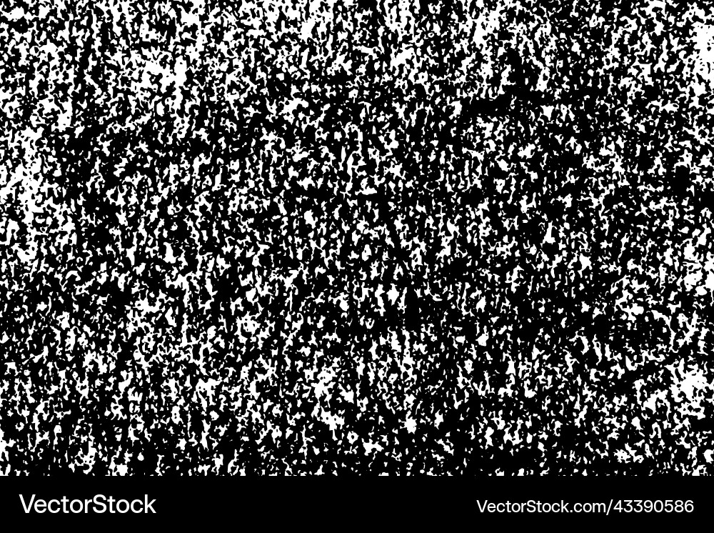 Distressed Black and White Grunge Texture Vector Image