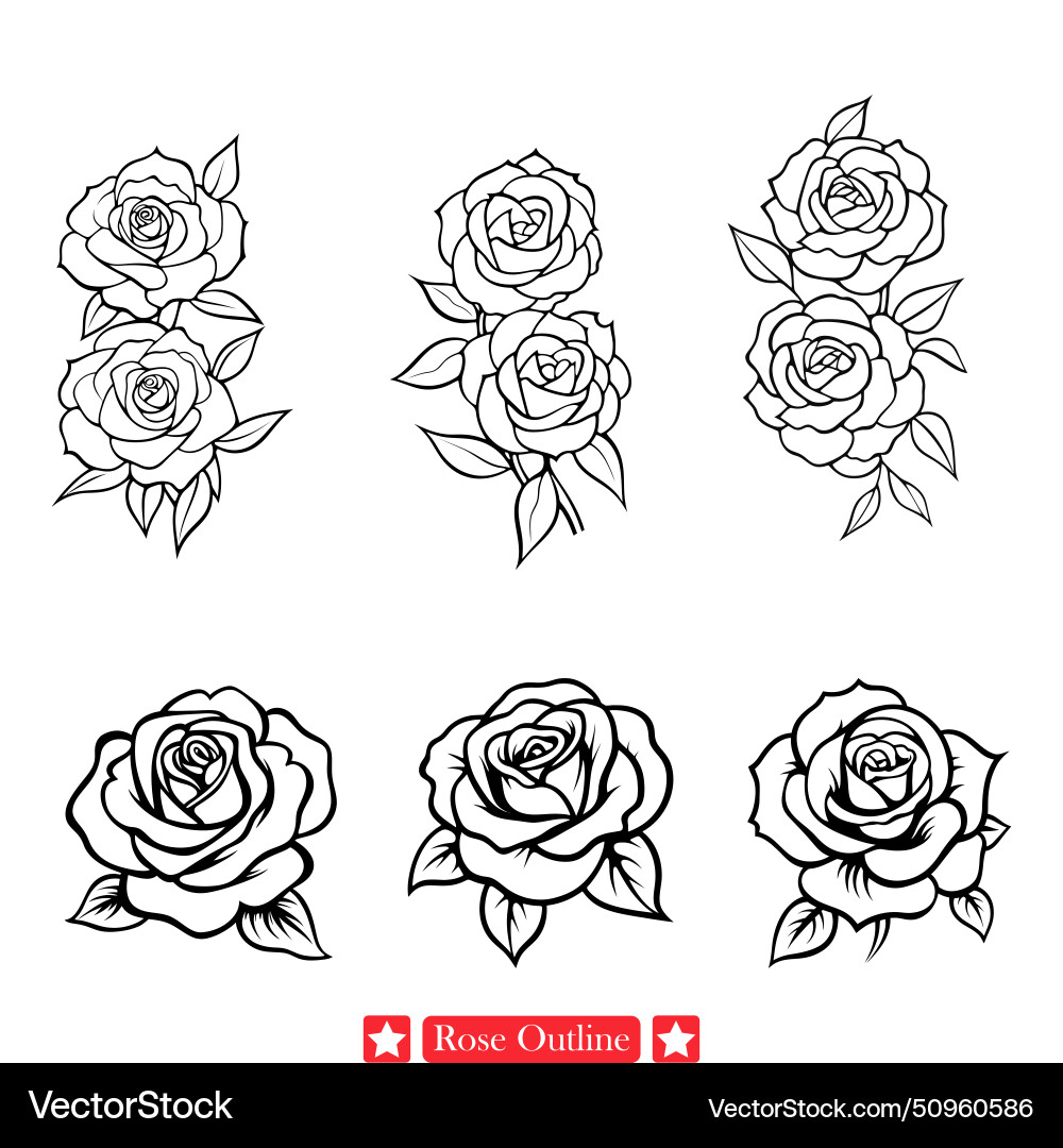 Iconic rose graphic time honored flower Royalty Free Vector