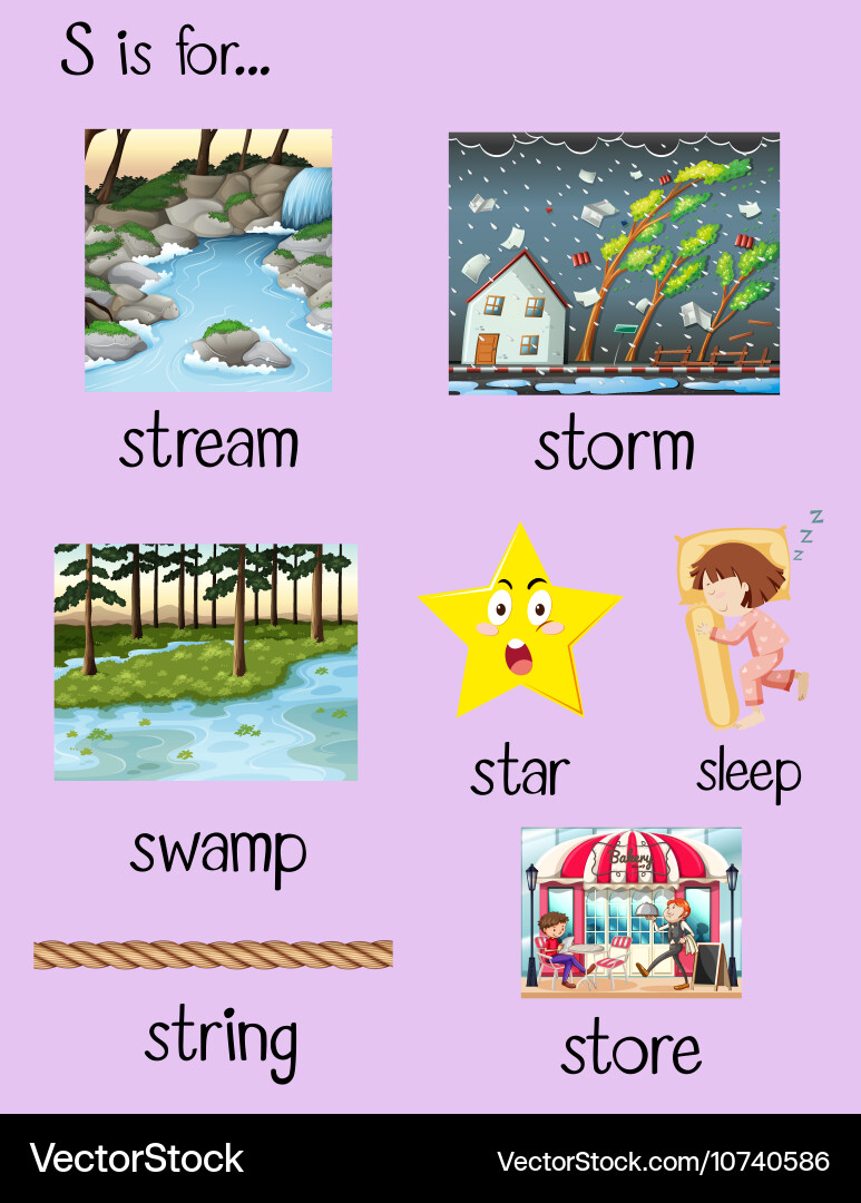 Many words begin with letter s Royalty Free Vector Image