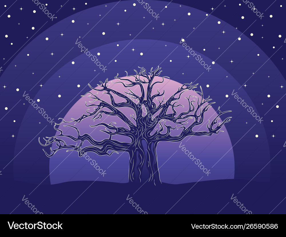 Night and big tree Royalty Free Vector Image - VectorStock