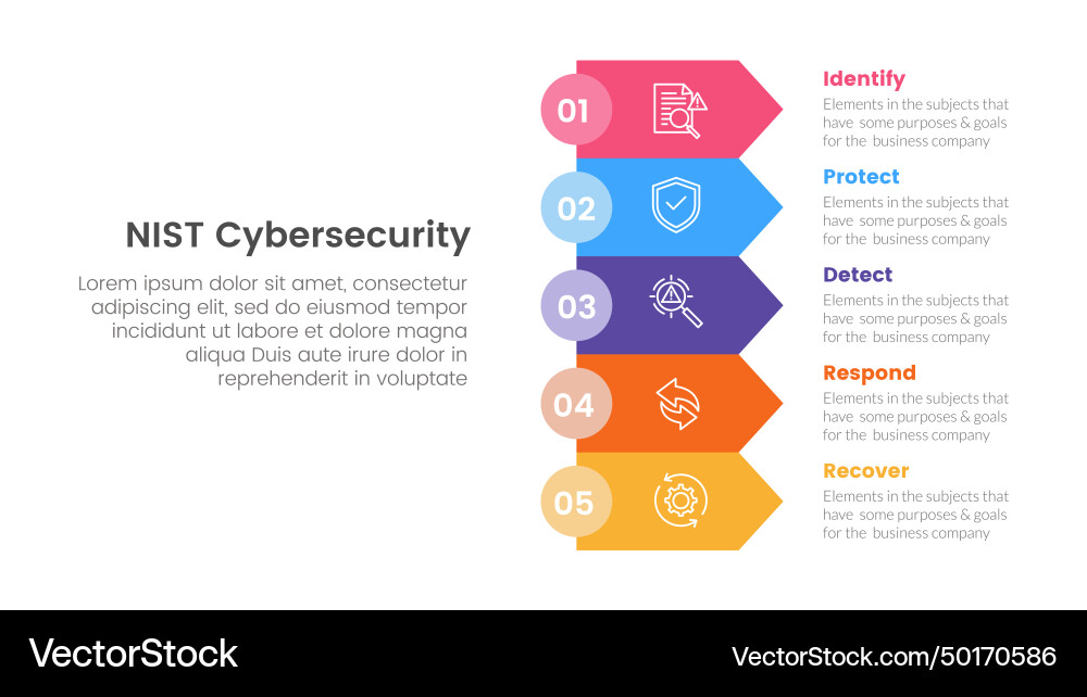 Nist cybersecurity framework infographic 5 point Vector Image