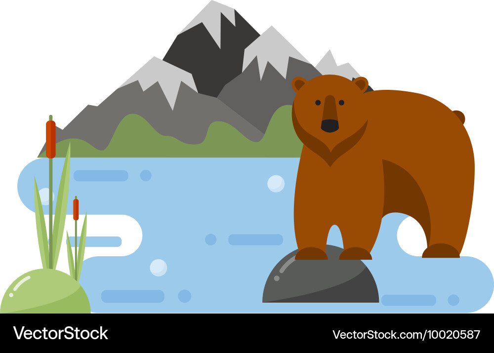 Cartoon bear Royalty Free Vector Image - VectorStock