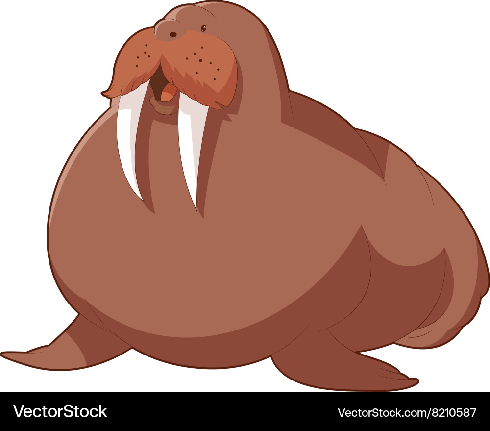 Smiling Walrus