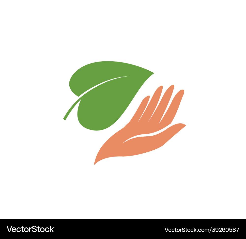 Hand with green leaf logo natural organic Vector Image