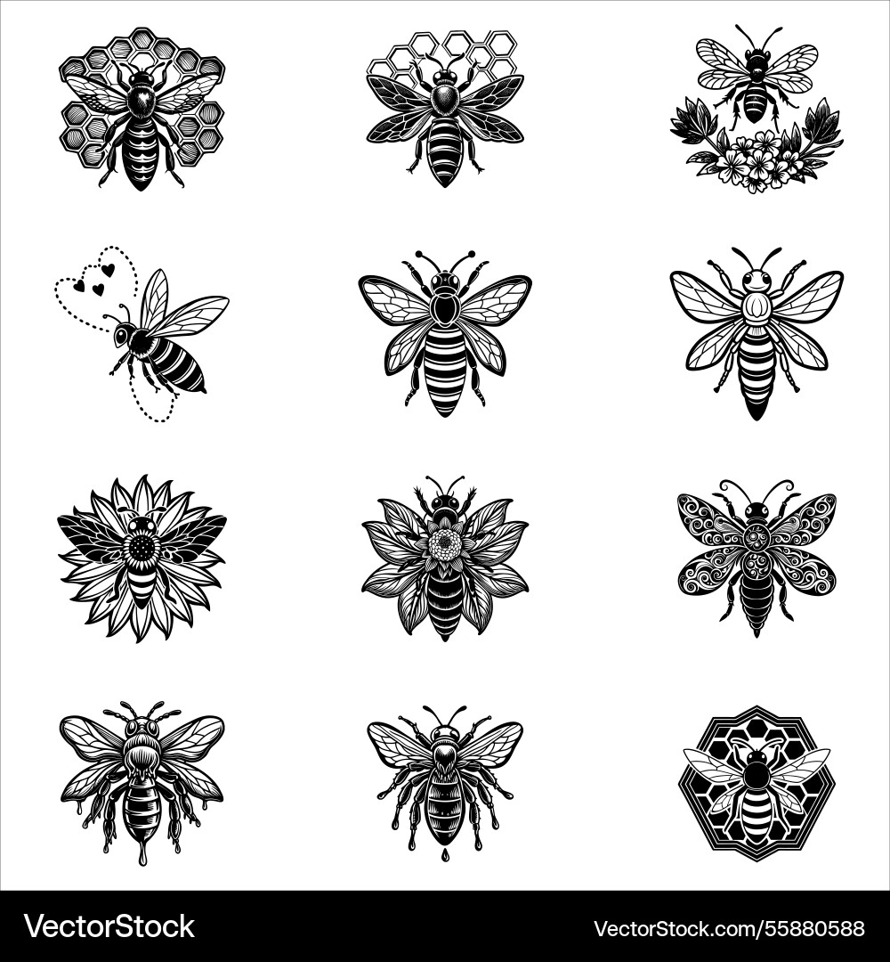 Bee Royalty Free Vector Image - VectorStock