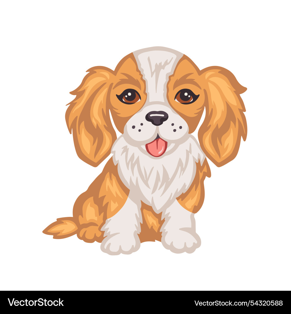 Cute king charles spaniel dog Royalty Free Vector Image