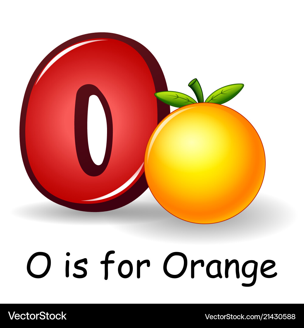 Fruit alphabet o is for orange Royalty Free Vector Image