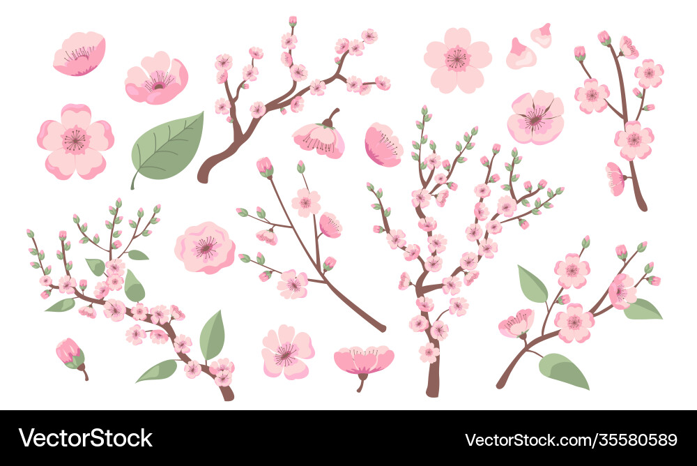 Blooming sakura branches Royalty Free Vector Image