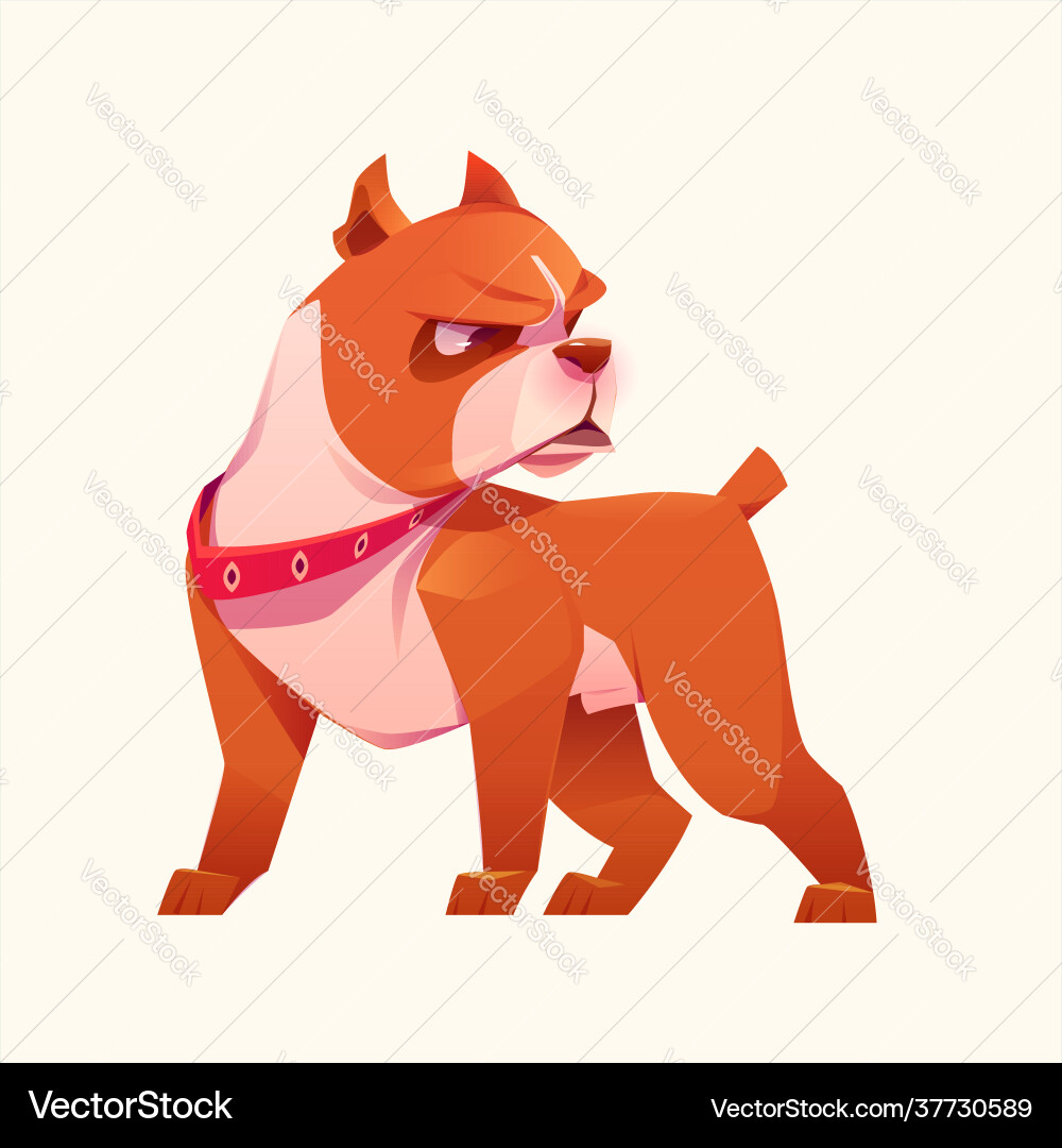 Funny Pitbull Dog Cartoon