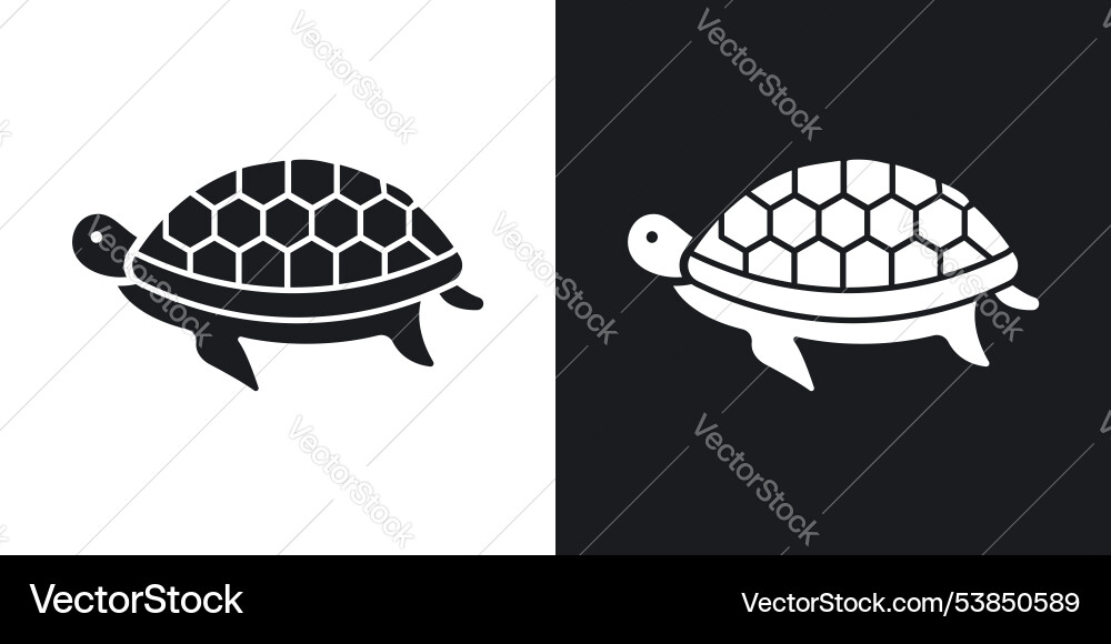 Tortoise icon set Royalty Free Vector Image - VectorStock