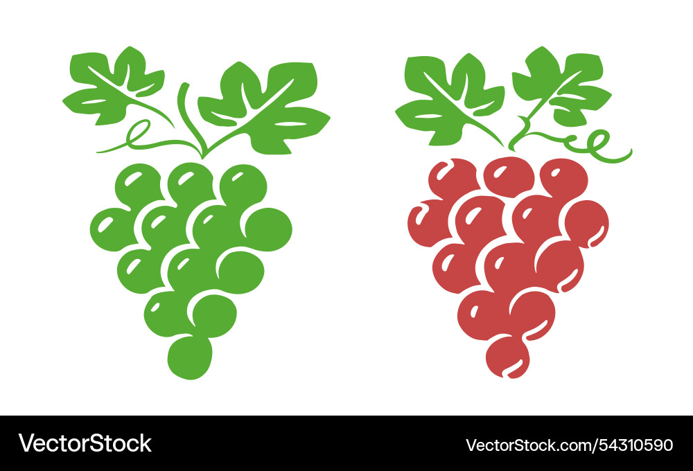 Grapes with leaves vine grapevine Royalty Free Vector Image