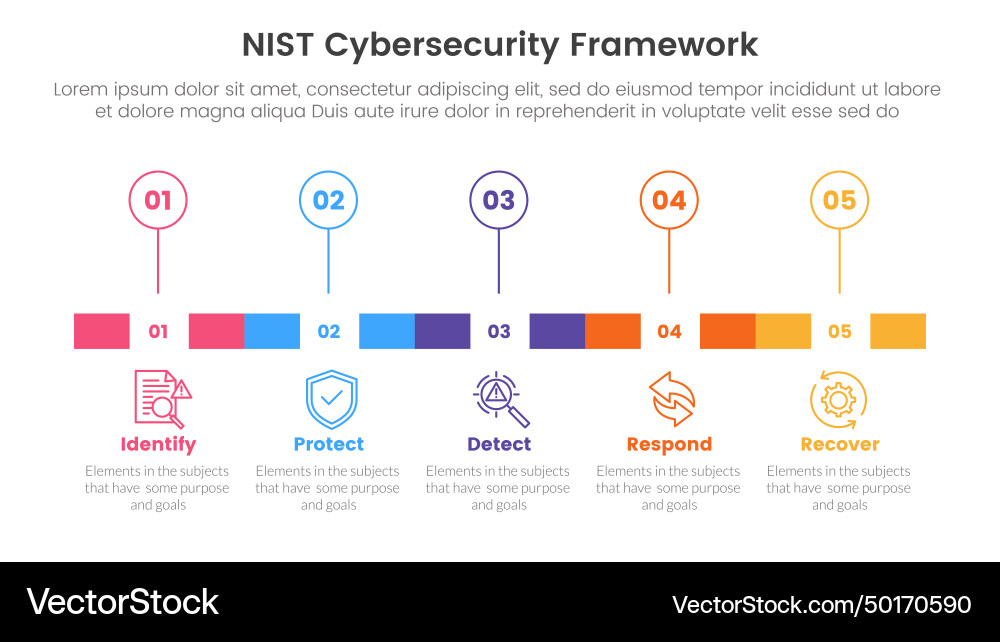 Nist cybersecurity framework infographic 5 point Vector Image