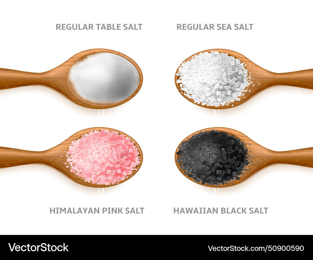 Realistic salt types cooking crystals and powder Vector Image
