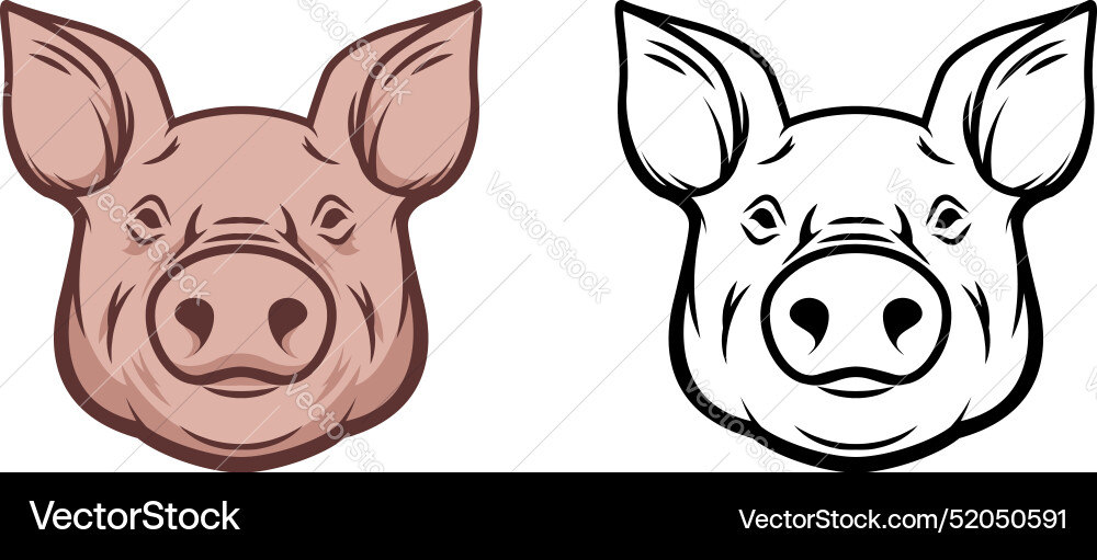 A pig head isolated on white background pork meat Vector Image