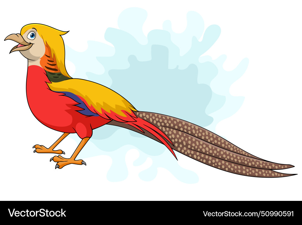 Cartoon golden pheasant bird on white background Vector Image