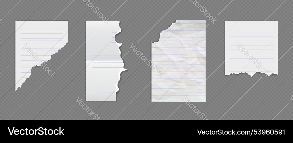 Crumpled torn white school lined notebook paper Vector Image