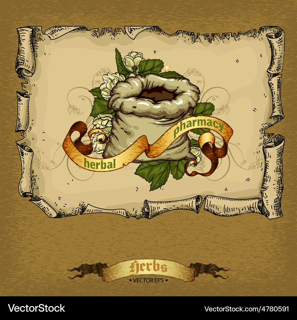 Natural herbs Royalty Free Vector Image - VectorStock