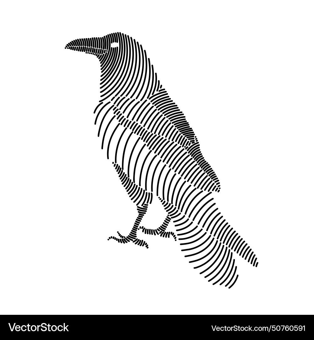 Simple line art of a crow 3 Royalty Free Vector Image