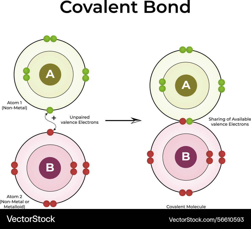 Covalent bond formation Royalty Free Vector Image