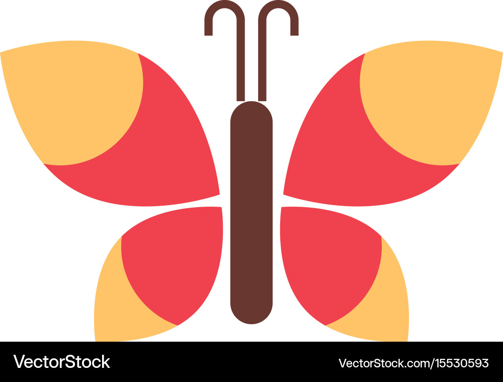 Cute butterfly isolated icon Royalty Free Vector Image