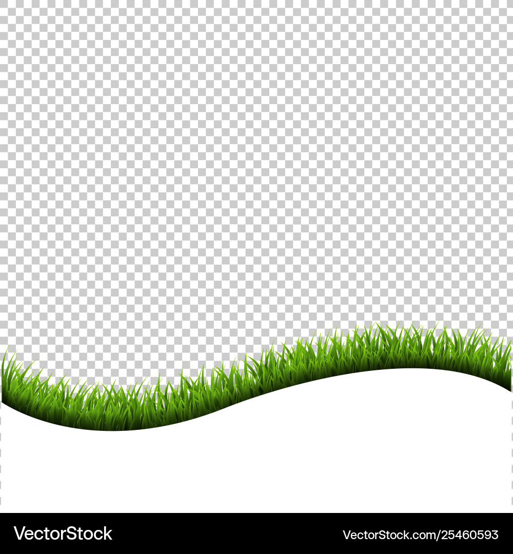 Grass border isolated transparent background Vector Image