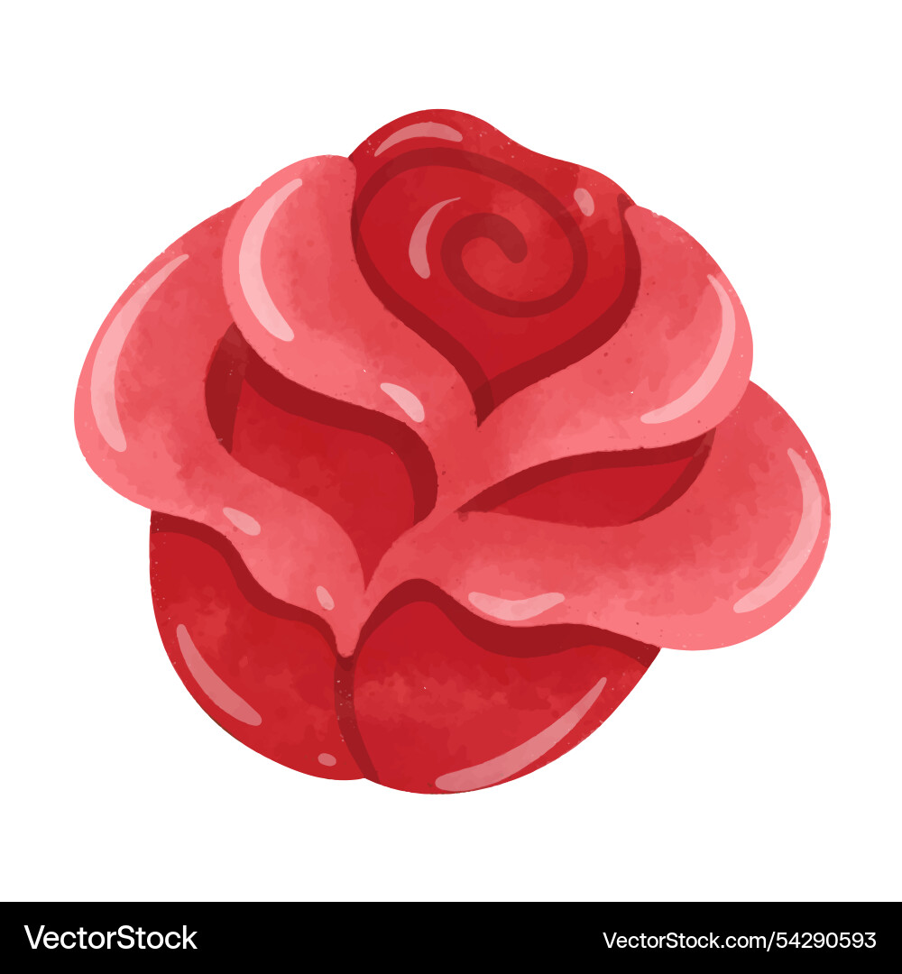 Red rose flower head – Royalty-Free Vector | VectorStock