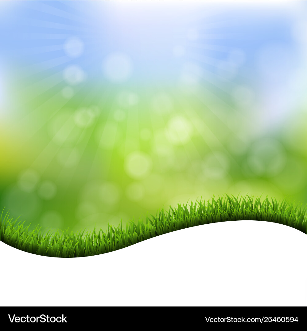 Grass Border Nature Background Royalty Free Vector Image