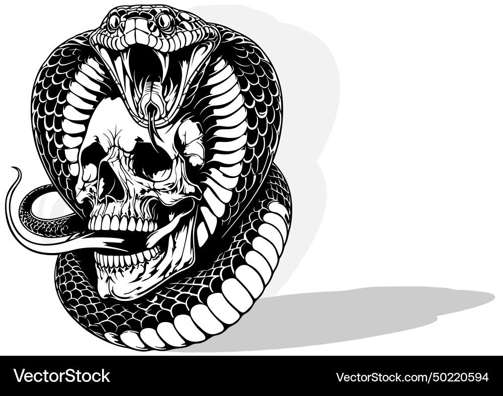Indian cobra wrapped around a human skull Vector Image