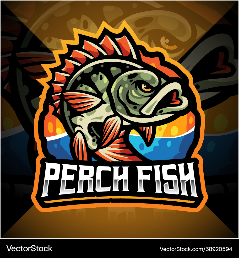 Perch fish esport mascot logo design Royalty Free Vector