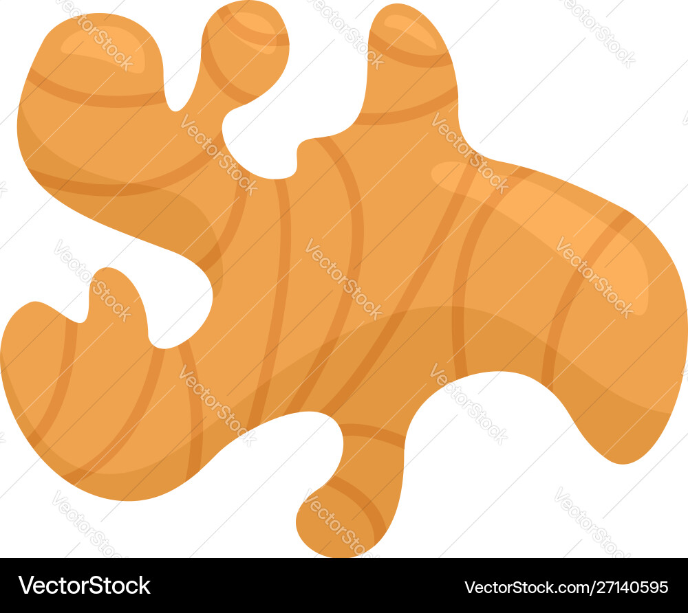 Ginger icon flat style Royalty Free Vector Image
