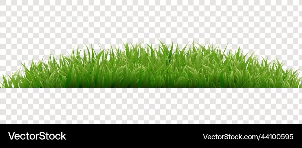 Green grass border isolated transparent background