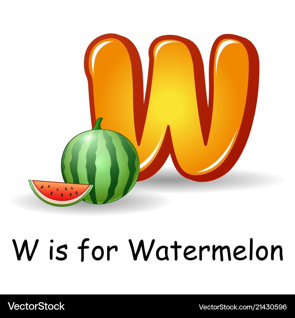 Fruit alphabet w is for watermelon Royalty Free Vector Image
