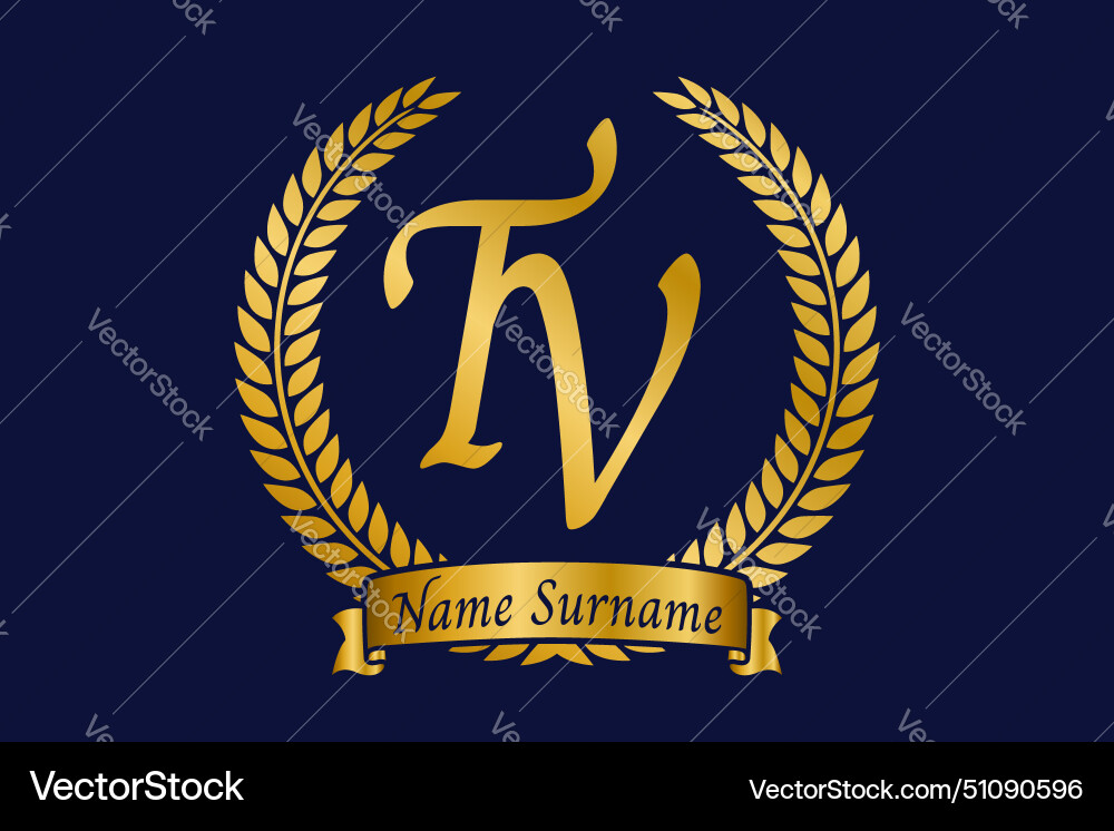 Initial letter t and v tv monogram logo design Vector Image