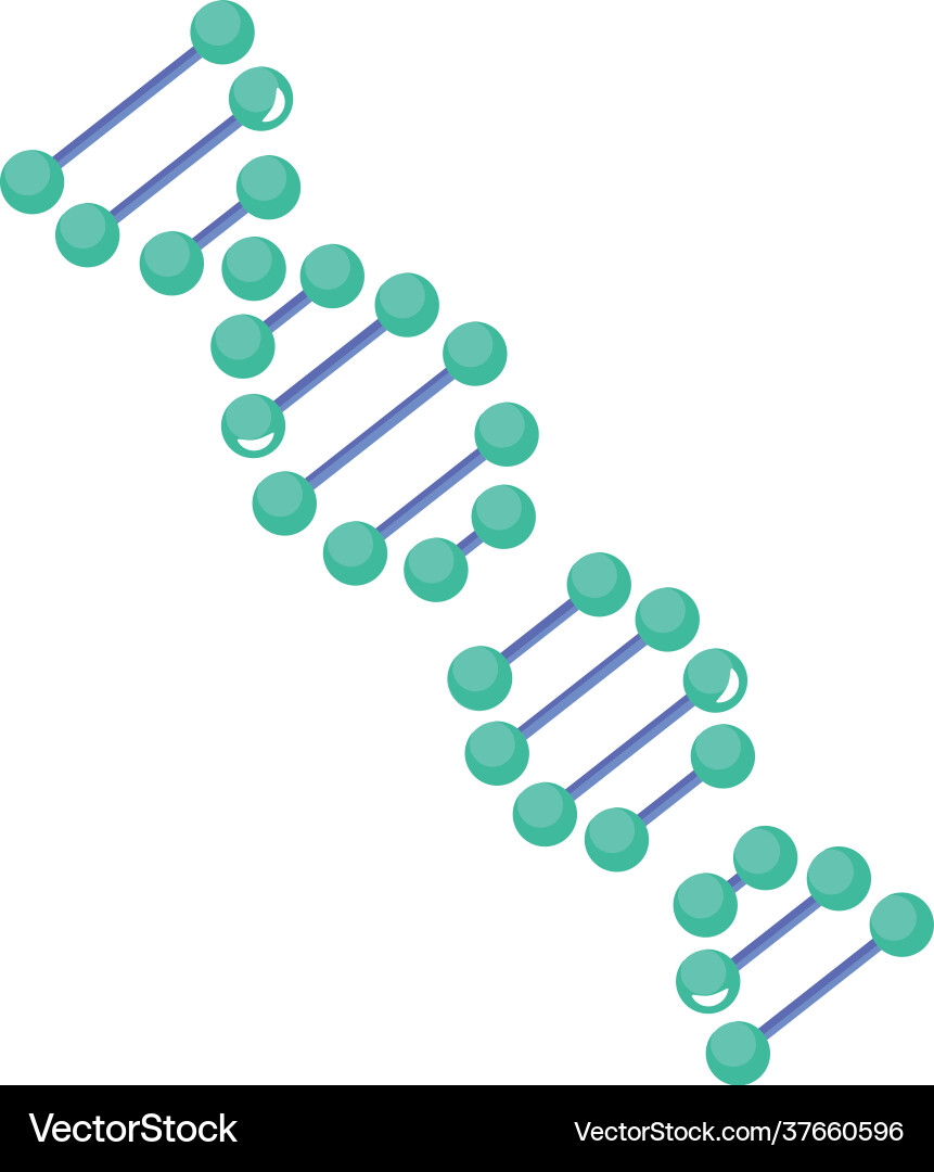 Strand dna Royalty Free Vector Image - VectorStock