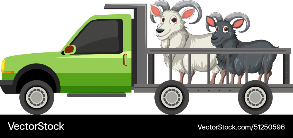 Two rams in a truck on clear day Royalty Free Vector Image